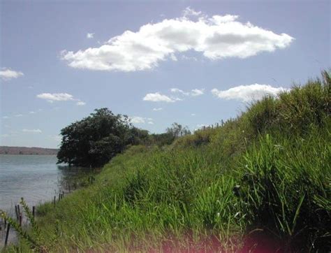 The Use Of Soil Bioengineering Techniques To Control Erosion Holanda