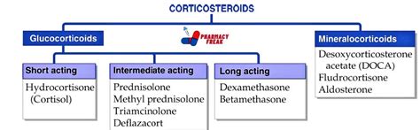 Classification Of Corticosteroids Pharmacy Freak