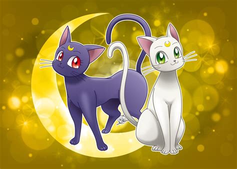 Luna Artemis Sailor Moon Art Sailor Moon Cat Sailor Moon Character My