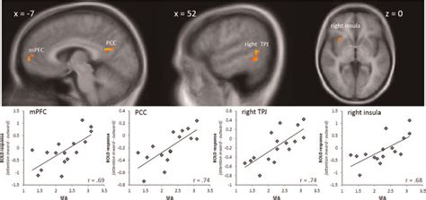 brain activation in the mpfc pcc right tpj and right insula