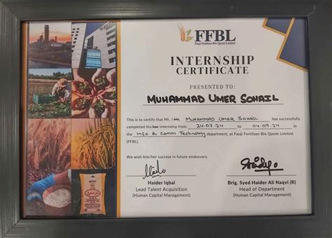 Muhammad Umer Sohail On Linkedin Ffbl Internship It Sap Excel Powerpresence Careergrowth