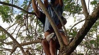I Couldn T Do Anything To Resist He Climb The Tree And Fuck Me For Good Pornhub Pinay