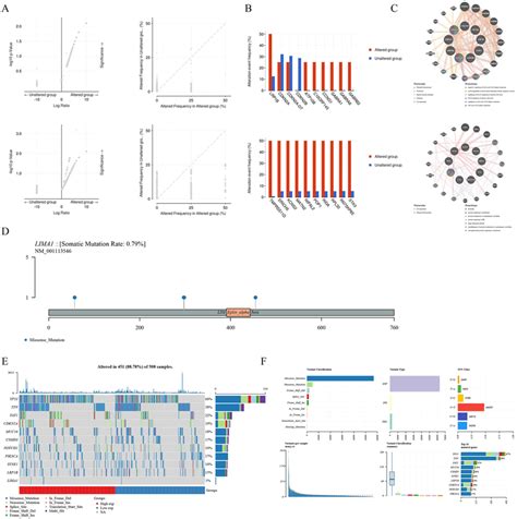 genomic copy number variation cnv events and somatic mutation