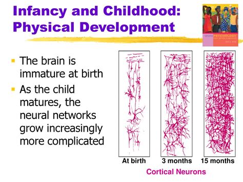 Myers Exploring Psychology 6th Edition In Modules Ppt Download