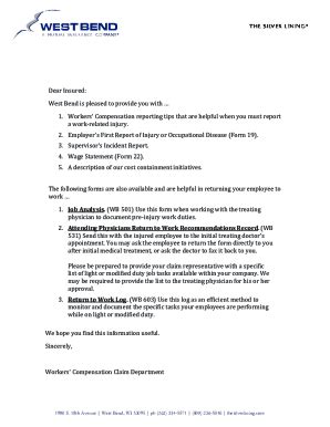 Fillable Online Sample Return To Work Program PDF Free Download Fax Email Print PdfFiller