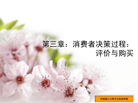 消费者行为学第3章 评价与购买word文档在线阅读与下载无忧文档