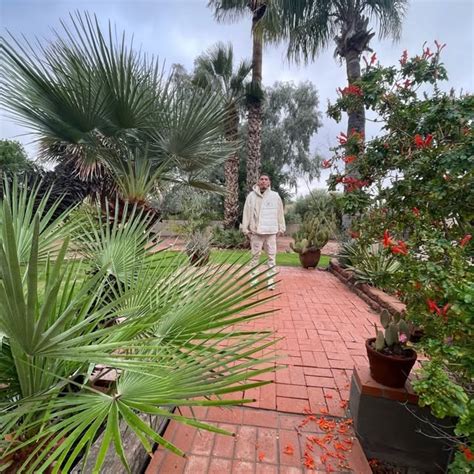 LT Or Lavish Lavishliamofficial Threads Say More