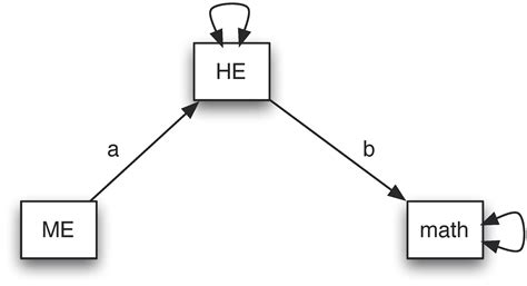 Path Analysis Advanced Statistics Using R