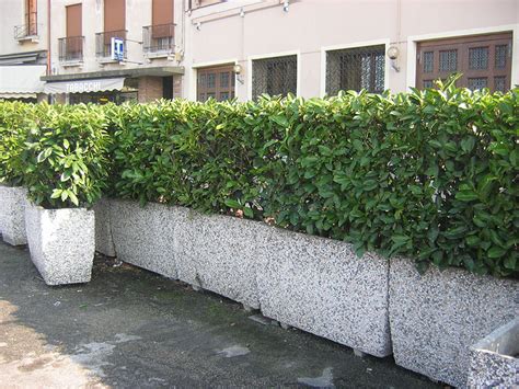 Žive Ograde Praktični Saveti I Zapažanja ПРАКТИЧНО БАШТОВАНСТВО