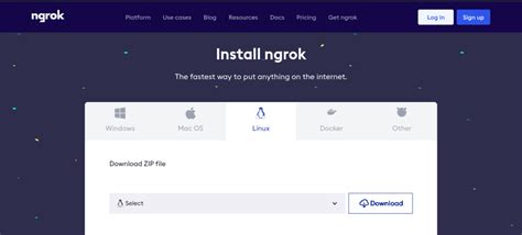 How To Install Ngrok On Kali Linux Linuxfordevices