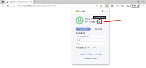 microsoft edge浏览器 proxy302插件