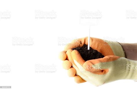 농부 Weared 장갑에 그의 손을에서 토양을 보여줍니다 백색에 절연 되어 있습니다 텍스트에 대 한 장소 계절에 대한 스톡 사진 및 기타 이미지 Istock