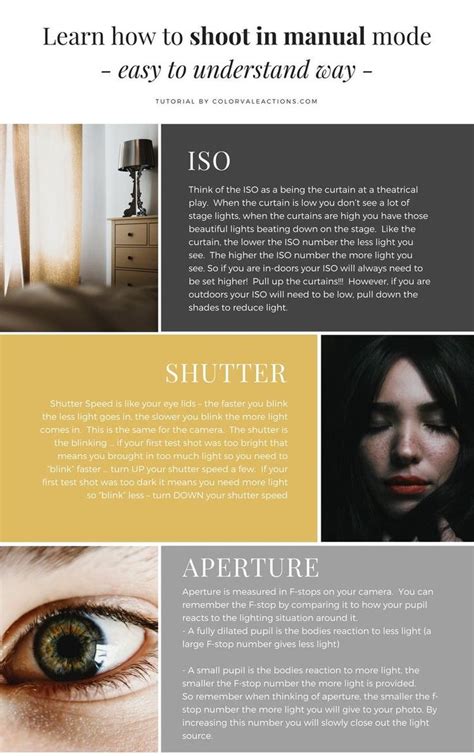 Pin By Jessica Maclean On Photo Cheat Digital Photography Lessons Photography Basics