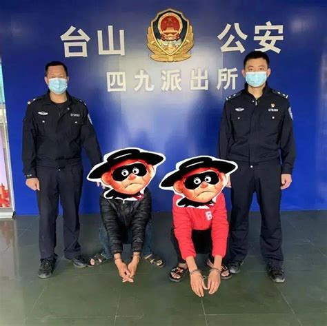 自导自演“贼喊抓贼”，台山民警顺藤摸瓜破获双重”盗窃案刘某山羊报警