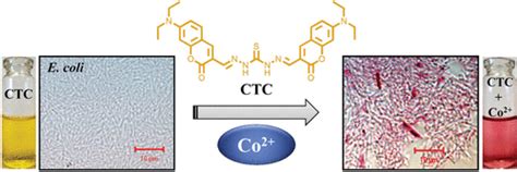 Highly Selective Colorimetric Chemosensor For Co2 Inorganic Chemistry