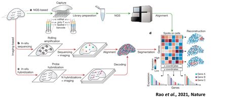 Vib Ku Leuven Center For Cancer Biology Ccb Single Cell Spatial Multiomics