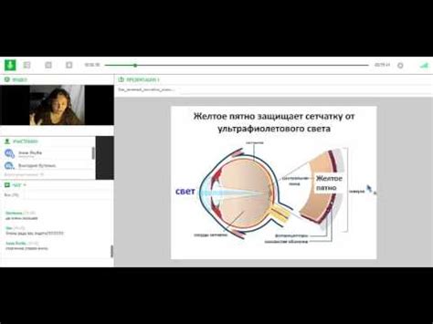 Виктория Бутенко. Как зеленый коктейль помогает при сухом голодании ...