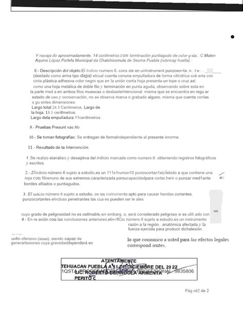 Perito Criminalística Pdf