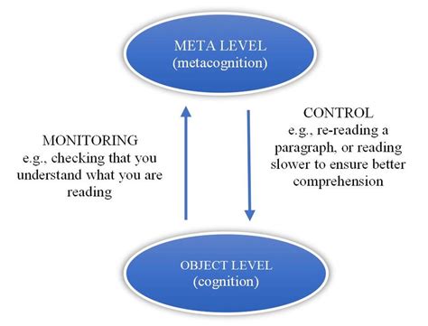 Model Of Metacognition Nelson And Narens 1990 Download Scientific Diagram