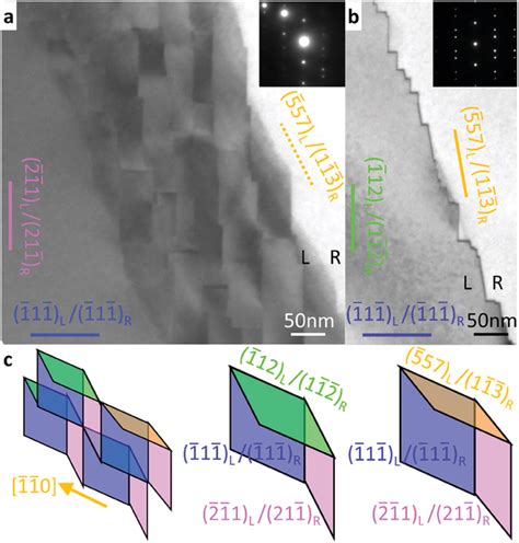 mesoscopic structural analysis of Σ3 gb acting as dislocation sources