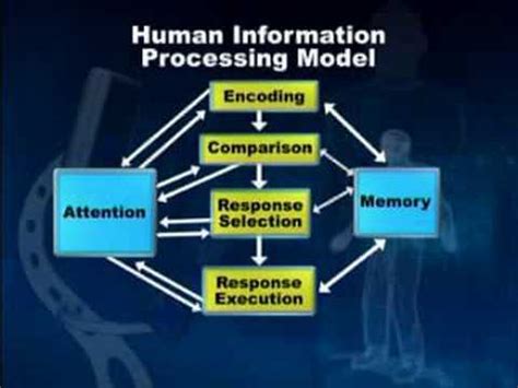 CS408 Lecture06 YouTube