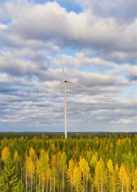 Careers At Winda Winda Energy