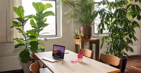 Facebook Ads Api Froggyads