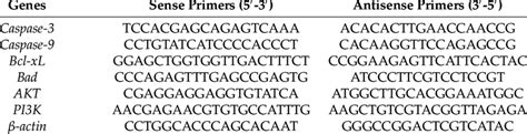 Primers Used In The Quantitative Real Time Polymerase Chain Reaction