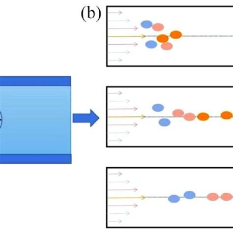 Laminar Velocity Distribution And Motion Path Of Nanoparticles Under
