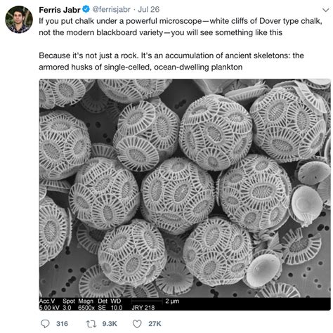 Chalk Under Electron Microscope Jain 108 Academy Facebook