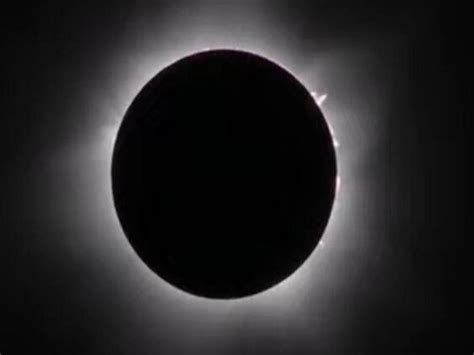 Solar Eclipse 2023 Live Updates సోషల్ మీడియాలో ఫోటోలు వీడియోలు వైరల్ Solar Eclipse 2023 Live