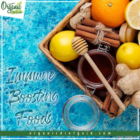 Immune System Boosters Foods To Boost The Immune System