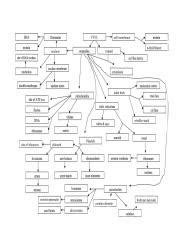 Cells Concept Map Answers Pdf Course Hero
