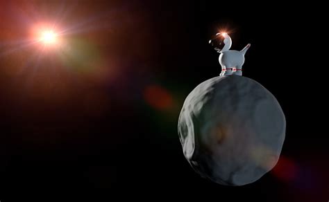 하얀 우주 복 서는 별 앞 소행성에 있는 귀여운 만화 공간 개 0에 대한 스톡 사진 및 기타 이미지 0 3차원 형태 개 Istock