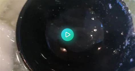 What Is The White Floaty Stuff Album On Imgur