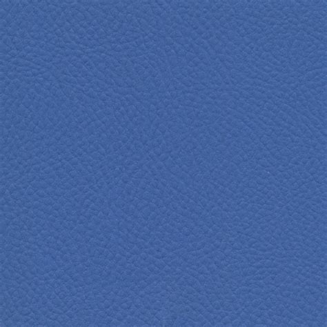 васильковый цвет cornflower blue | Цветовые сочетания, Цветы