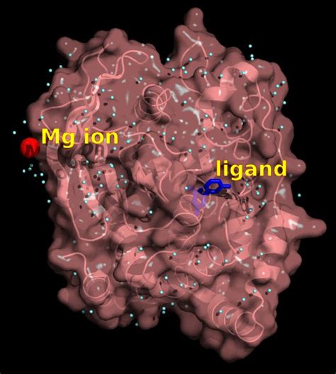 Tutorialfiguresrunscript Pymol Documentation