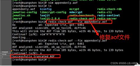 redis nf配置文件中的rdb与aof持久化方式的详解与区别 redis rdb配置文件 csdn博客
