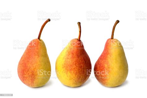 흰색 배경에 고립 된 세 개의 잘 익은 육즙이 많은 전체 배 과일 0명에 대한 스톡 사진 및 기타 이미지 0명 3가지 개체 개체 그룹 Istock