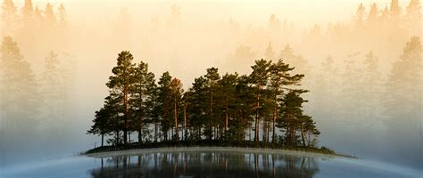 Misty Lake II by RobinHedberg on DeviantArt