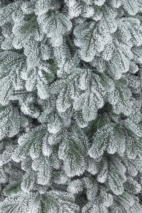 ᐉ Ялинка лита Sigagroup Ковалівська 2 50 м Sg4829223200259 • Краща ціна в Києві Україні