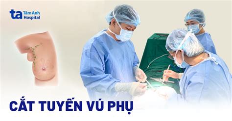 Kh I U V Nguy N Nh N D U Hi U V Ch N O N