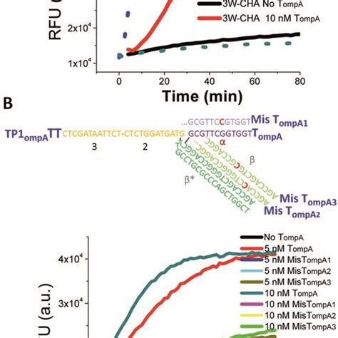 Proof Of Concept Detection Of A Single Stranded Oligonucleotide Using Download Scientific