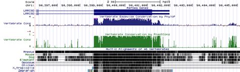 Sequence Conservation In Vertebrates