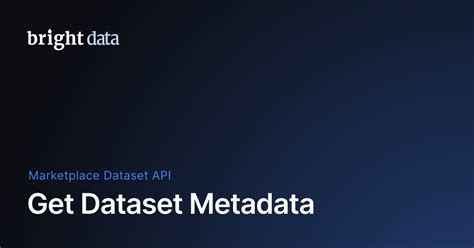 Get Dataset Metadata Bright Data Docs