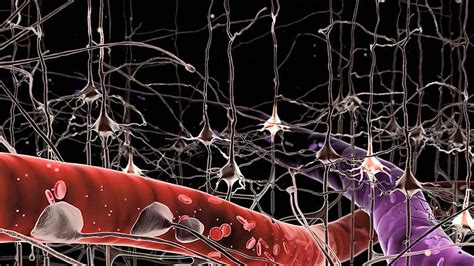 Neuron Dan Sinapsis Brainstorm Saraf Otak Foto Latar Belakang Dan