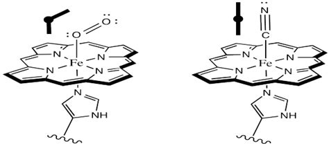 4 2 Oxygen Binding Chemistry Libretexts