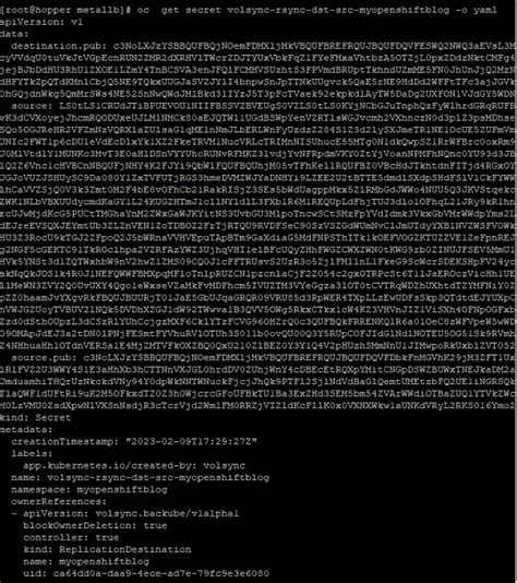 How To Back Up Kubernetes Persistent Volumes With The Volsync Add On