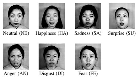 An Intelligent Facial Expression Recognition System Using A Hybrid Deep Convolutional Neural
