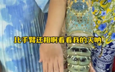 泰国生腌对比潮汕生腌都非常的棒在家可以自己试试哦 哔哩哔哩